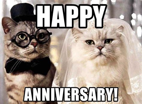 Funny Anniversary Memes For Husband