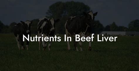 Nutrients In Beef Liver Beef Liver Powders