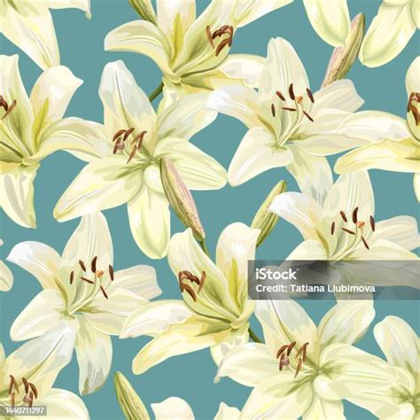 青の背景にシームレスな繰り返しパターンの白いユリの花ベクターイラスト マドンナリリーのベクターアート素材や画像を多数ご用意 マドンナ