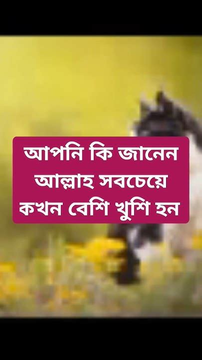 আপনি কি জানেন আল্লাহ সবচেয়ে কখন বেশি খুশি হন🔥shorts Dua