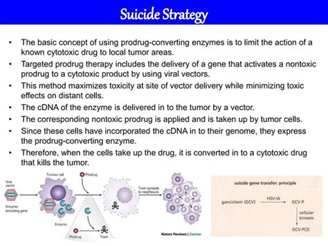 Gene Therapy Ex Vivo Method Ppt