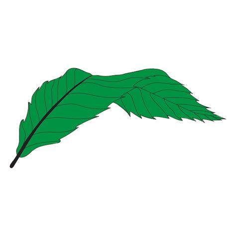 Premium Vector Green Leaf Vector