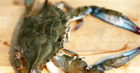 How To Clean Soft Shell Crabs Artofit