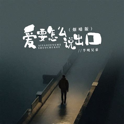 爱要怎么说出口 烟嗓版 Youtube Music