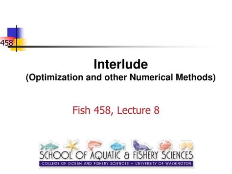 PPT Interlude Optimization And Other Numerical Methods PowerPoint Presentation ID