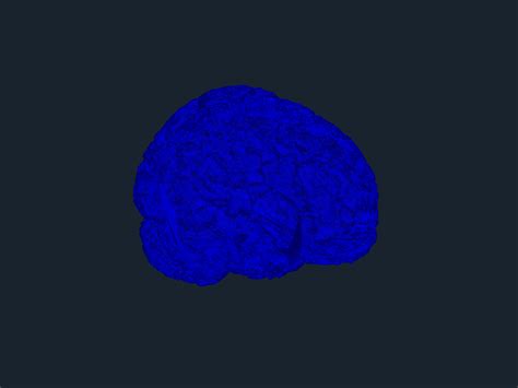 Stylized Brain — Xcell Documentation