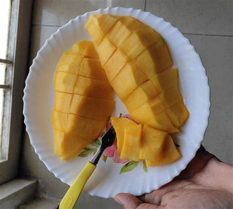 Ice Cream In Lucknow आइस क्रीम लखनऊ Uttar Pradesh Get Latest Price