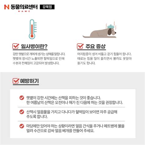 휴가철 일사병 주의 ♥ N동물의료센터의 다양한 소식을 전합니다 우리곁n언제나 N동물의료센터