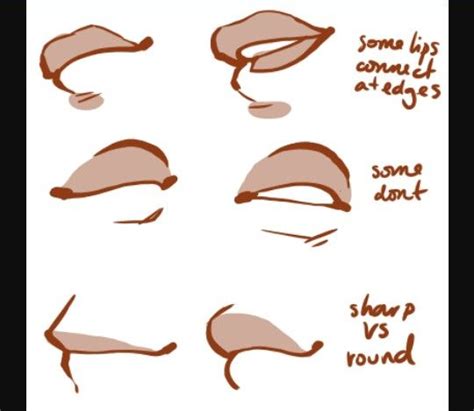 How To Draw Lips With Different Angles And Shapes