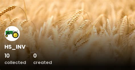 Hsinv Profile Opensea