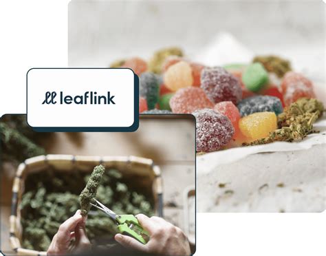 Leaflink Integration Spend Management Made Easy