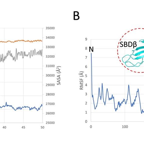 A Root Mean Square Deviation Rmsd In Å Blue Line Radius Of