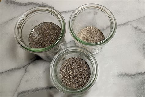 チアシードの効果的な食べ方とレシピ｜プルプル食感を健康的に摂取するための注意点も Hugkum（はぐくむ）