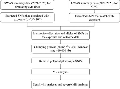 Exploring Causal Correlations Between Circulating Levels Of Cytokines