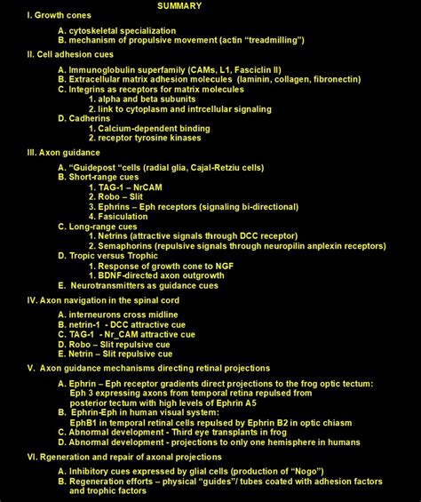 Lecture 3 Axon Outgrowth Diagram Quizlet