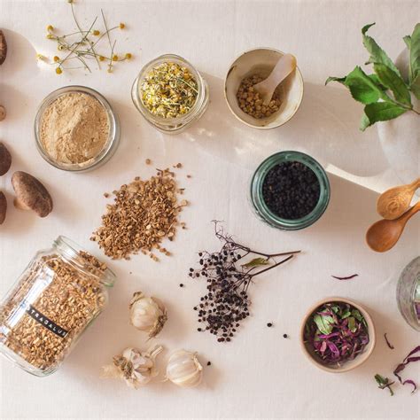 5 Herbs To Boost Your Immune System Naturally