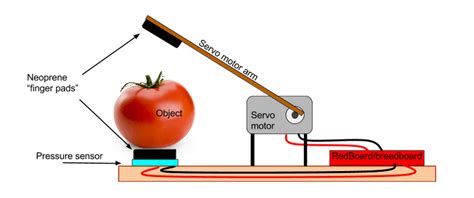 Ece 110 120 Honors Lab Section Robot Finger With Pressure Feedback