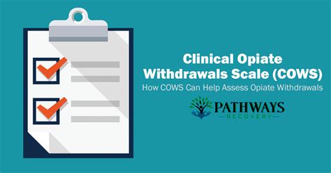 How Cows Can Help Assess Opiate Withdrawals