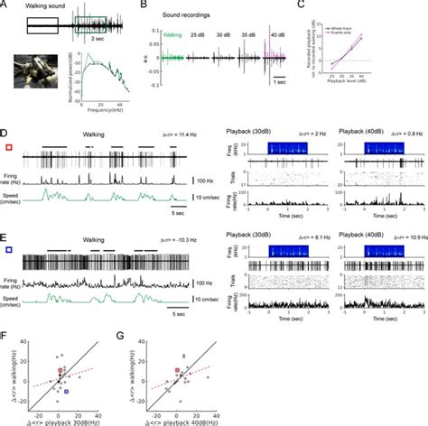 Figures And Data In Integration Of Locomotion And Auditory Signals In The Mouse Inferior