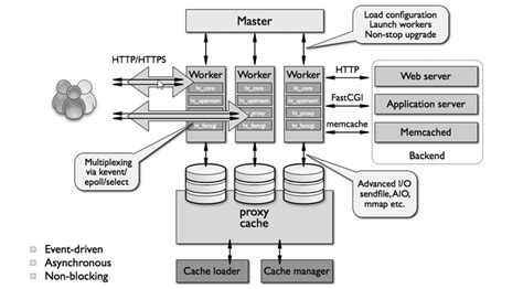 Apache Vs Nginx Quel Est Le Meilleur Serveur Web Serveur Géré