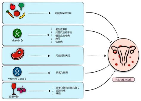 吃出来的妇科疾病要怎样吃回去 澎湃号湃客 澎湃新闻 The Paper