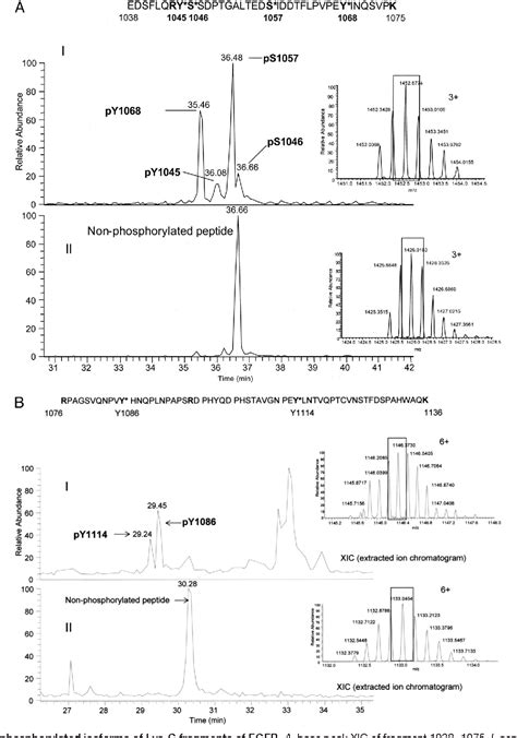 Figure 3 From Dynamic Profiling Of The Post Translational Modifications