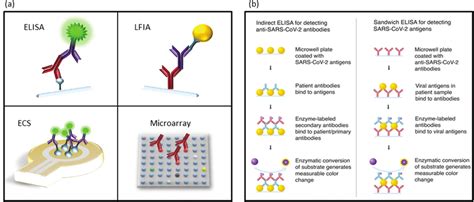 Scheme Schematic Illustration Of Immuodetection Assays A Different