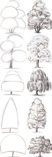 34 Tree References Ideas Tree Art Tree Drawing Watercolor Trees