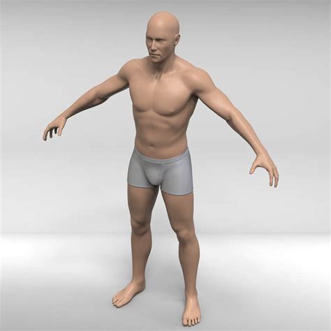 Total 37 Imagem Humano Modelo 3d Br Thptnganamst Edu Vn