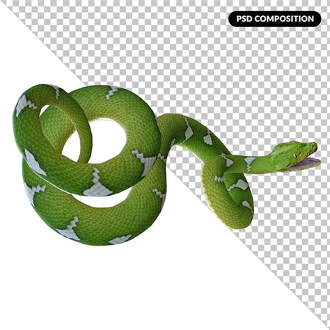 Premium PSD Pyton Snake Isolated 3d Rendering