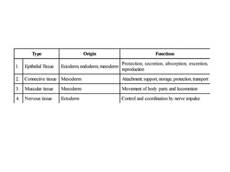 Tissues Organs Organ System Organism 2 Ix Cbse Pptx