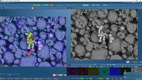 Analysing Battery Cathode Material With The Unity Bex Detector In Sem