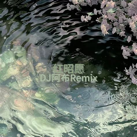 红昭愿 摇摆dj版 song by dj阿布 spotify