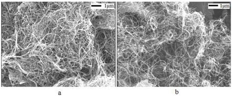 A Kind Of Surface Modification Method Of Carbon Nanotube Eureka Patsnap