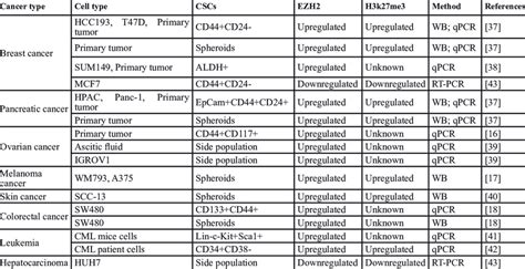 Expression Of Ezh2 In Cscs Download Table