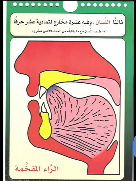 مخرج الراء المفخمة Learn Quran Learning Arabic Tajweed Quran