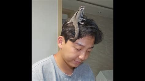 캐치 2024오토살롱위크 송주아 민한나 화끈한 레이싱모델 단독취채 섭외완료ㅡㅡㅡㅡㅡㅡㅡㅡㅡㅡㅡㅡㅡㅡㅡㅡㅡㅡㅡ영정단정중만부천