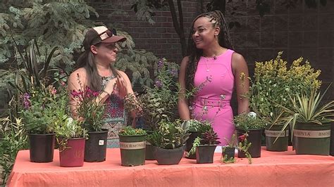 Gardening Segment Taking Care Of Plants In Hot Dry Weather 9news