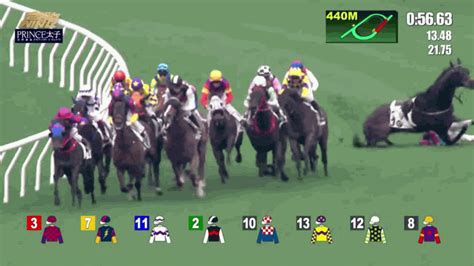 沙田马场骑师杨明纶事隔一星期再堕马 曾被座骑压中身体 星岛日报
