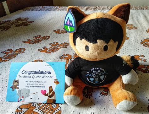 Ravi Singh On Linkedin Salesforce Salesforceohana Trailheadquest Sfdcdeveloper Trailhead…