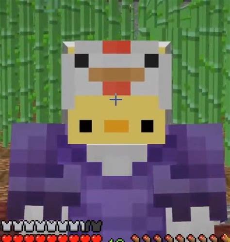 Capitan Gato En Gato Minecraft Gatos Capit N