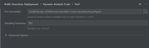 Support Profiler For Wsl · Issue 7857 · Intellij Rustintellij Rust · Github