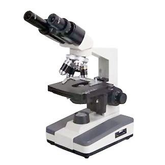Compound Light Microscope Diagram Quizlet