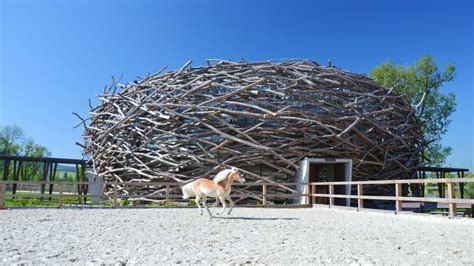 Nest Shaped Buildings Wrapped In Branches Twigs And Pine