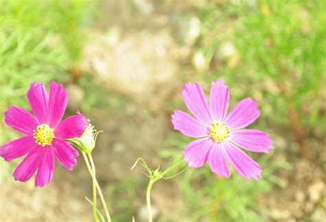 親権と監護権の分離について 離婚してからもイライラ｜不登校とモラ夫に悩む