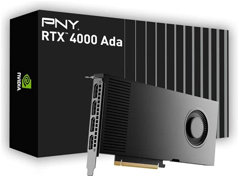 VGA PNY Quadro RTX 4000 ADA 20GB Retail (VCNRTX4000ADA-PB) : Amazon.ca ...