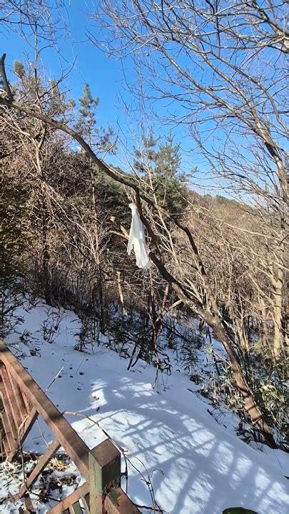 산 정상 꼭대기 Youtube