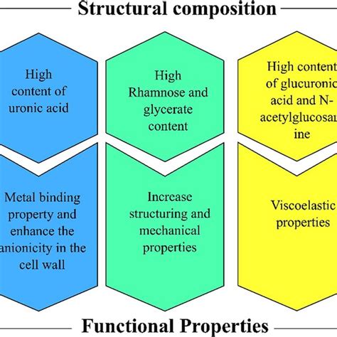 Schematic Representation Of Structural Composition And Functional Download Scientific Diagram