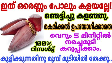ഇനി ഡൈ ചെയ്യേണ്ട ഇത് ഒരെണ്ണം മതി എത്ര നരച്ച മുടിയും ഒറ്റ യൂസില്