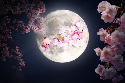 Full ‘flower Moon In May To Shine In The Springtime Sky—heres How It